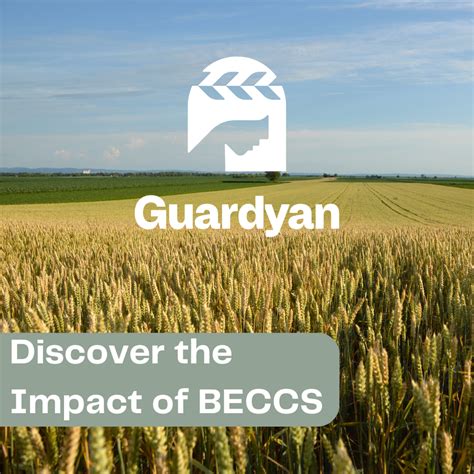 Discover The Impact Of Bioenergy Carbon Capture And Storage Beccs — Guardyan Conservation