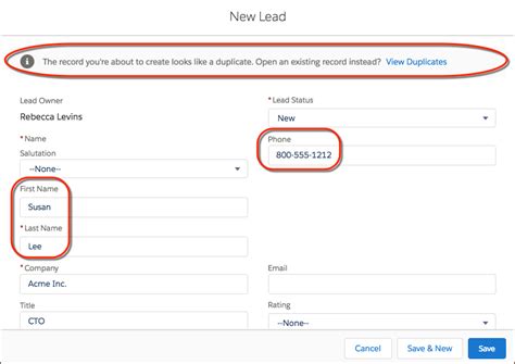 Deal With Duplicates Two Tactics To Use Today Salesforce Admins