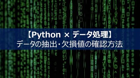 PythonPandasで欠損値確認missingnoで欠損状況を視覚化データ前処理クレインジング入門 DXCEL WAVE