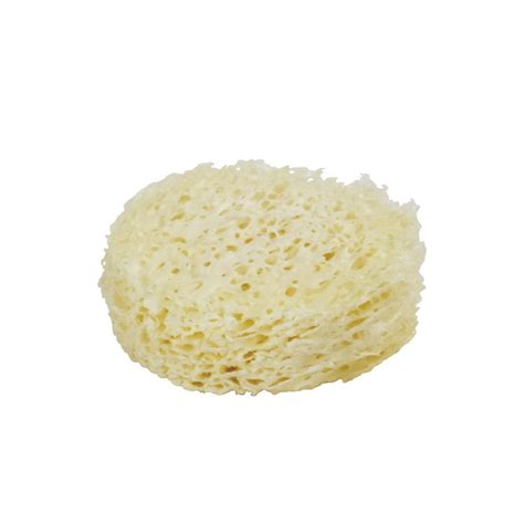 Allograft Bone Substitute 76810 Bone Bank Allografts For