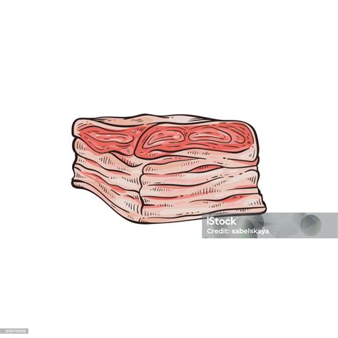 돼지 고기 지방 부분 베이컨 또는 반점 조각 스케치 벡터 일러스트 레이션 격리 점박이에 대한 스톡 벡터 아트 및 기타 이미지