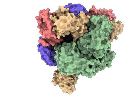 Surface Atcase 3 Unit Complex 1rai Free 3d Model On