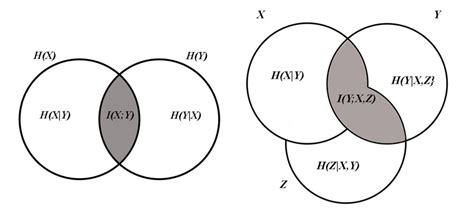 Left Mutual Information Between Two Variables X Y As Shared