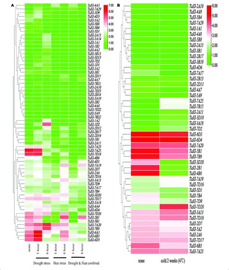Expression Profiles Of TaXI In Different Abiotic Stress The Heatmap