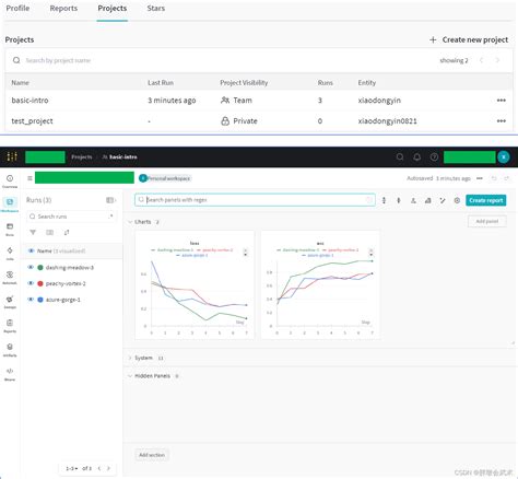 Wandb安装与使用 —— 用于跟踪、可视化和协作机器学习实验的工具 Csdn博客