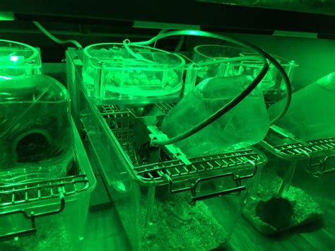 Clocklab Chamber Control Actimetrics