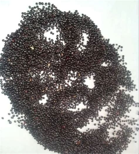 Natural Amaranthus Leaf Seed For Agriculture At Best Price In