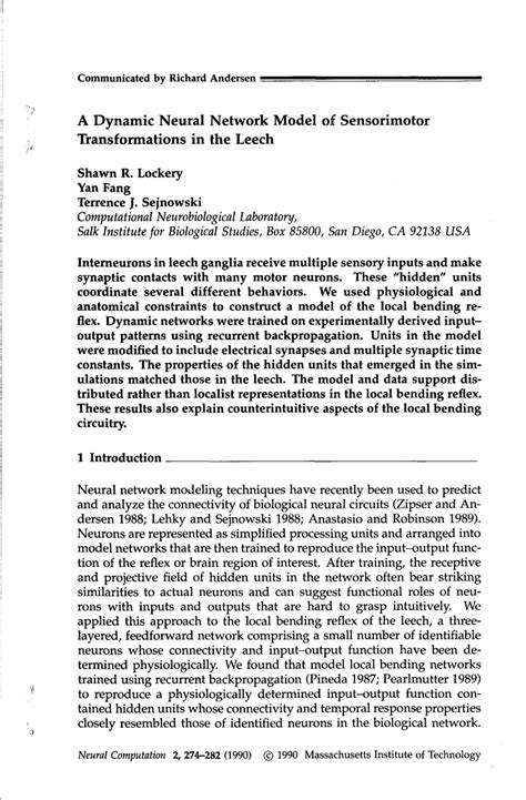 pdf a dynamic neural network model of sensorimotor transformations in