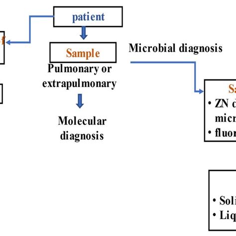 Overview Of The Current Tb Diagnostic Scheme Download Scientific Diagram