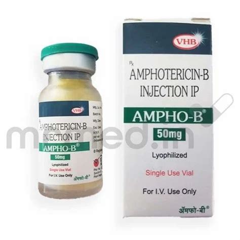 Amphotericin B Injection 50 Mg 1 Vial At Rs 500piece In Ahmedabad