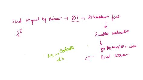 Solved Question 3 1 Pts Animals That Live In Or On Their Food Source