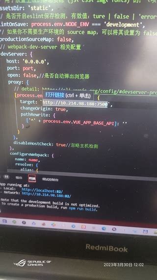 若依vue 前端内网穿透一直转圈圈，只穿透后端就拒绝访问前端 Csdn问答