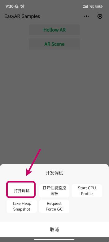 开发入门 — Easyar Mega 文档