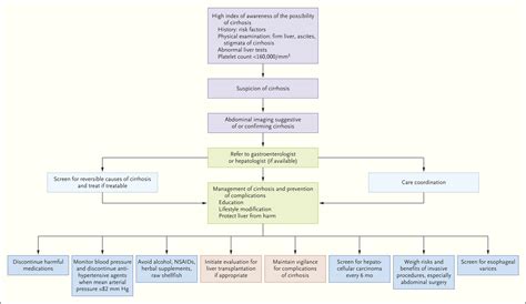 Treatment Of Patients With Cirrhosis Nejm
