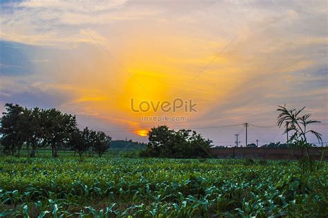 농촌 풍경 사진 무료 다운로드 Lovepik