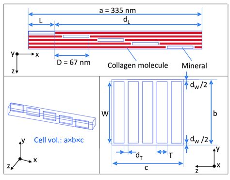 Unit Cell Volume A × B × C And Principal Dimensions Of The Domain In Download Scientific