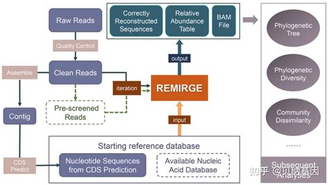 宏基因组项目文章｜深海冷泉中功能基因的系统发育多样性：宏基因组学的新视角 知乎