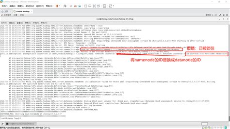 Solved Hadoop Starts Hdfs Lost Namenode Datanode Programmer Sought