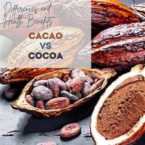 Cacao Vs Cocoa Unraveling The Differences And Powerful Health Benefits Mandala Naturals