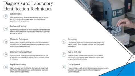Enterobacteriaceae Identification Powerpoint Presentation And Slides Ppt Slide Slideteam