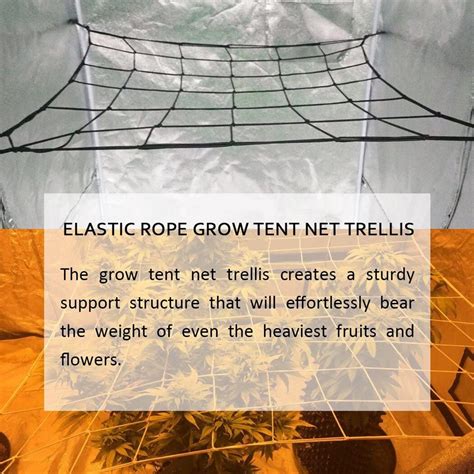 60 60cm Grow Tent Elastic Net Elastic Net Grow Ten Grandado