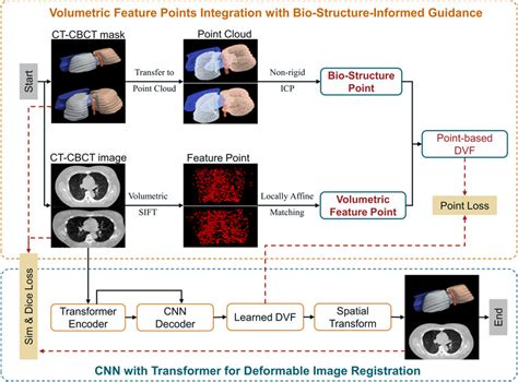 Data Augmentation Process Employing Registration To Constrain Image
