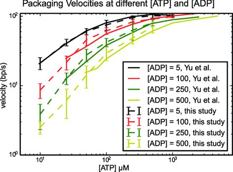 Stochastic Dynamics Simulation Results Of Average Packaging Velocities Download Scientific