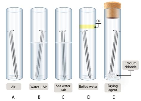 Rusting Of Iron Project