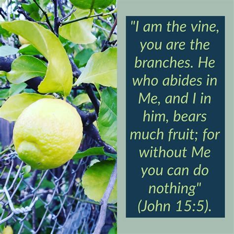 Daily Bread Scriptures To Meditate Upon