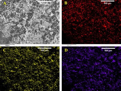 Sem Image A And Eds Mapping Of The Cross Sectional View Of
