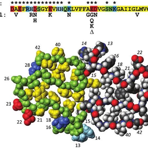 Primary Nucleation Secondary Nucleation And Elongation Primary Download Scientific Diagram