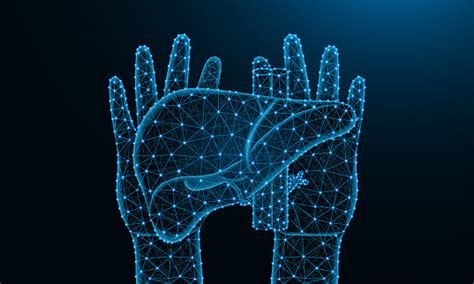 손과 간 낮은 폴리 디자인 다각형 스타일의 인간 기관 어두운 파란색 배경에 포인트와 선으로 만든 외분비 선 와이어 프레임 벡터