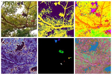 blob detection towards data science