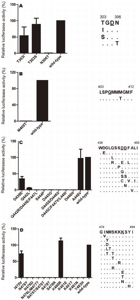 Effects Of Mutations In The Four Conserved Motifs Of Download