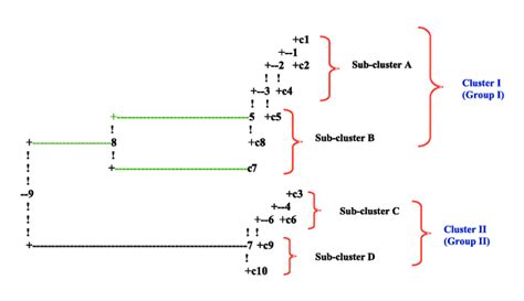 B Dendrogram Developed Using UPGMA Unweighted Pair Group Method Based