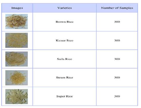 Figure From Classification Of Rice Varieties Using Convolution Neural Networks Semantic Scholar