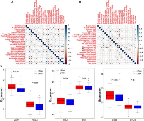 Correlation Between Immune Infiltration And Risk Score Correlation