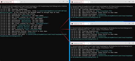 Net 6使用 Yarp 做网关 董川民