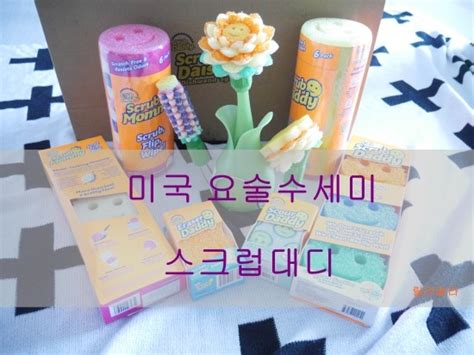 스크럽대디 미국 요술수세미로 설거지의 새로운 시대를 열다 네이버 블로그