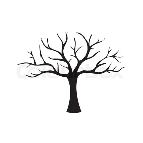 Tree Without Leaves Stock Vector Colourbox