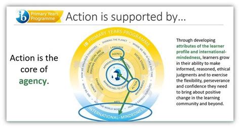 Action In The Pyp Part 1 Mahindra International School