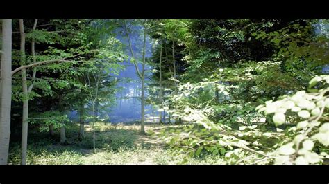 james goodman on linkedin epicgames unrealengine5 ue5 lumen nanite realtimerendering…
