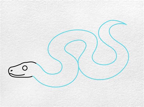 Burmese Python Drawing Helloartsy