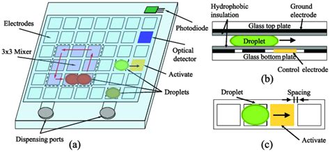 A Dmfb A Schematic Of A Dmfb B Side View Of The 2 D Electrode Download Scientific Diagram