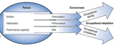Moho Model Flashcards Quizlet