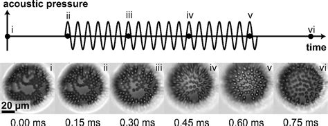 Ultrafast Desorption Of Colloidal Particles From Fluid Interfaces Pnas