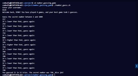 Number Guessing Game Build A Number Guessing Game Backend Development The FreeCodeCamp Forum