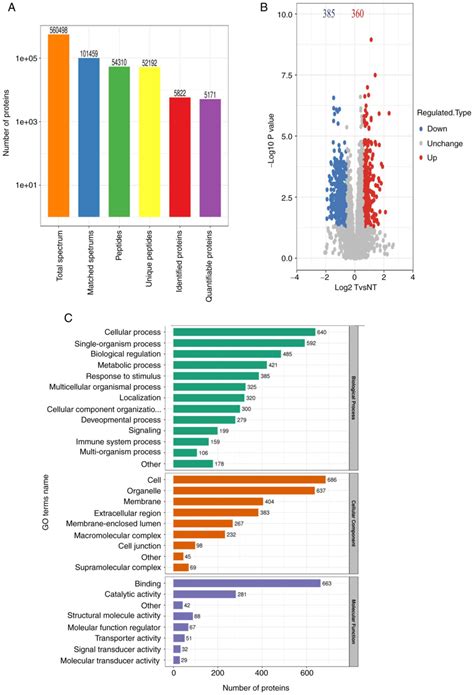 Oncology Letters
