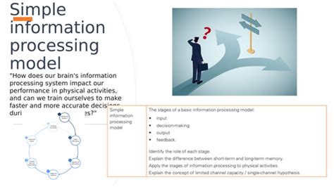 Simple Information Processing Model Igcse Pe Physical Education Teaching Resources