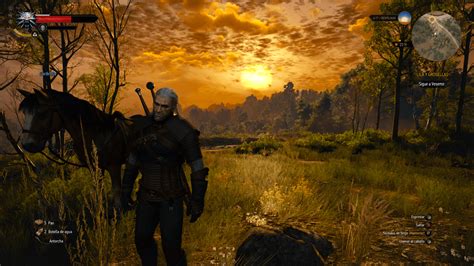 Without With Ray Tracing R Witcher3